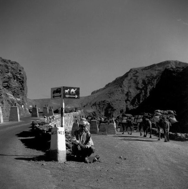 Dara Adam Khel, Kohat Pas | History of Pashtuns