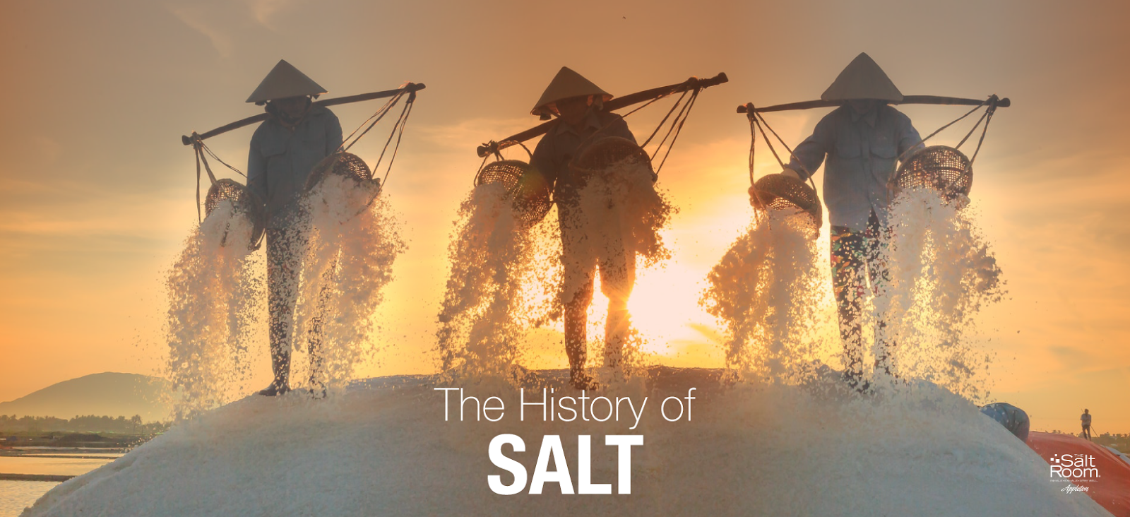 The History of Salt: It's Way More Interesting Than You Think