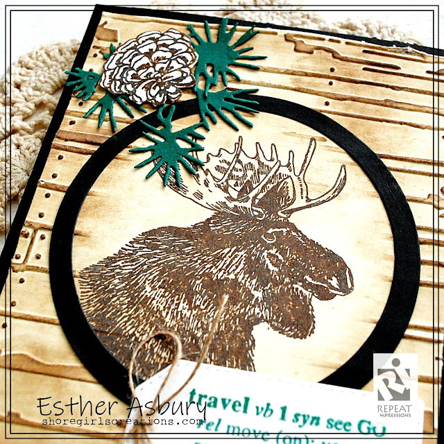 Shoregirl's Creations: DIY Embossing Diffuser