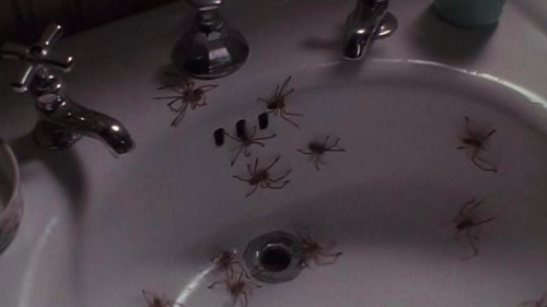 SlasherBasher: Arachnophobia