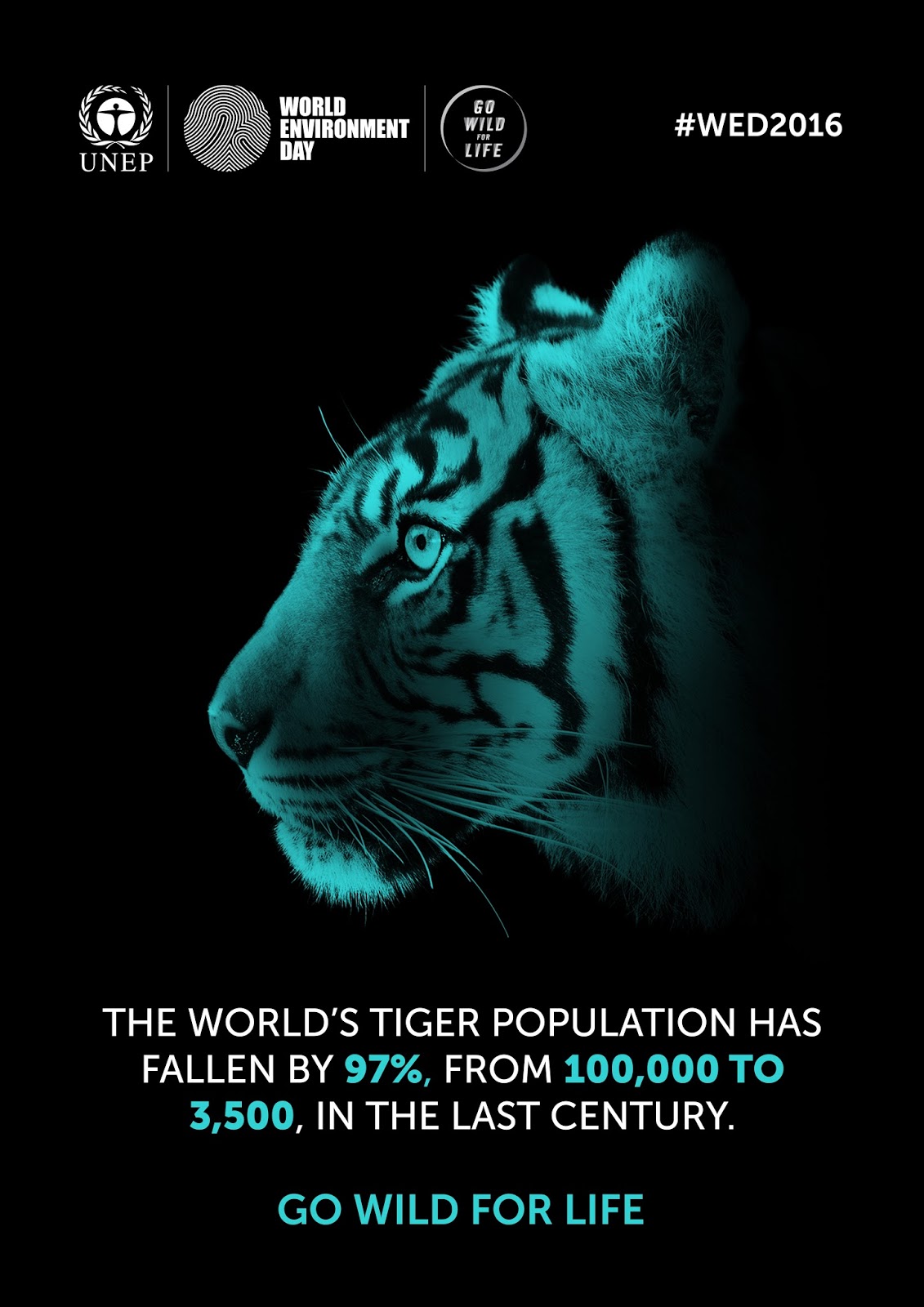 5 de Junho - Dia Mundial do Meio Ambiente 2016 ~ Áreas Verdes das ...