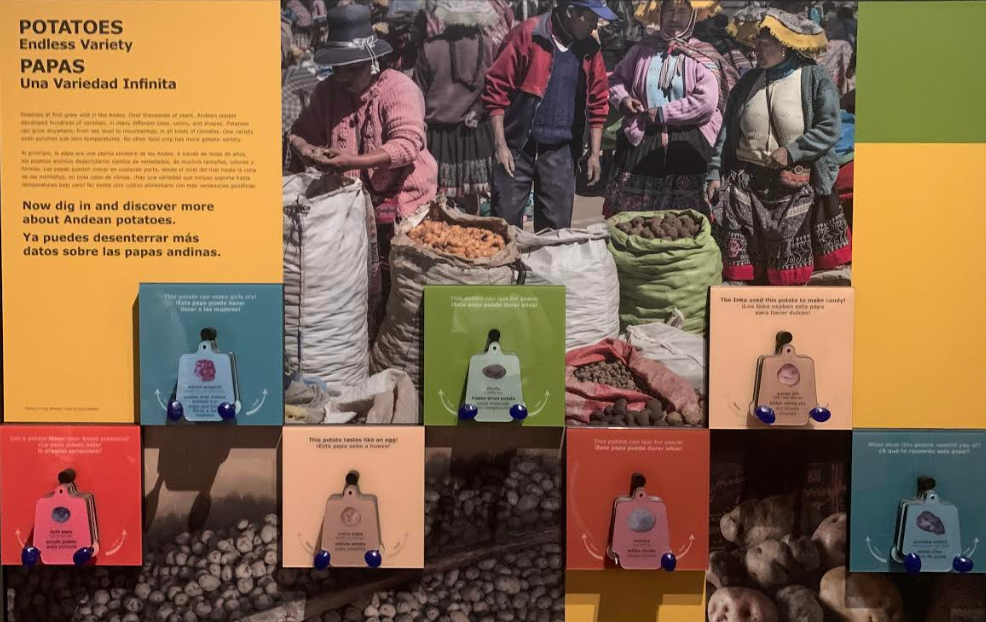 Crops Of The Inca Empire