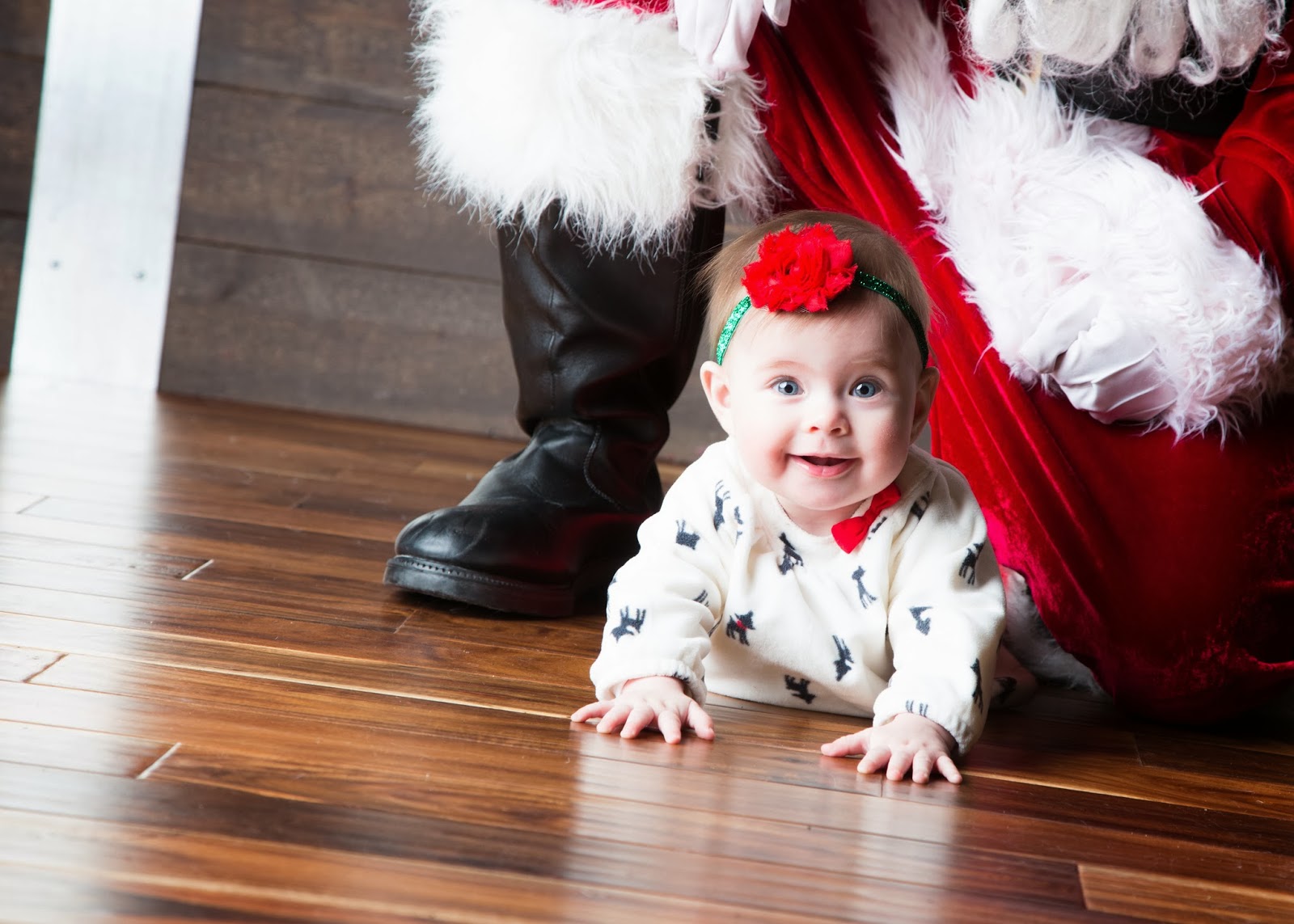 Sarah Eggett: fotofly santa