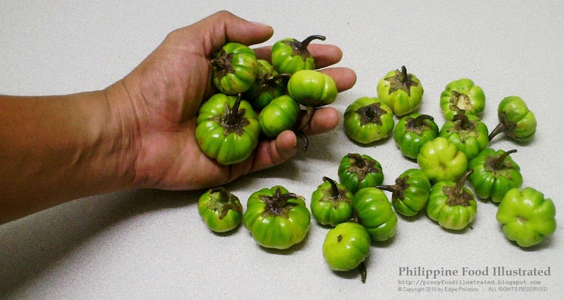 Philippine Food Illustrated: paria