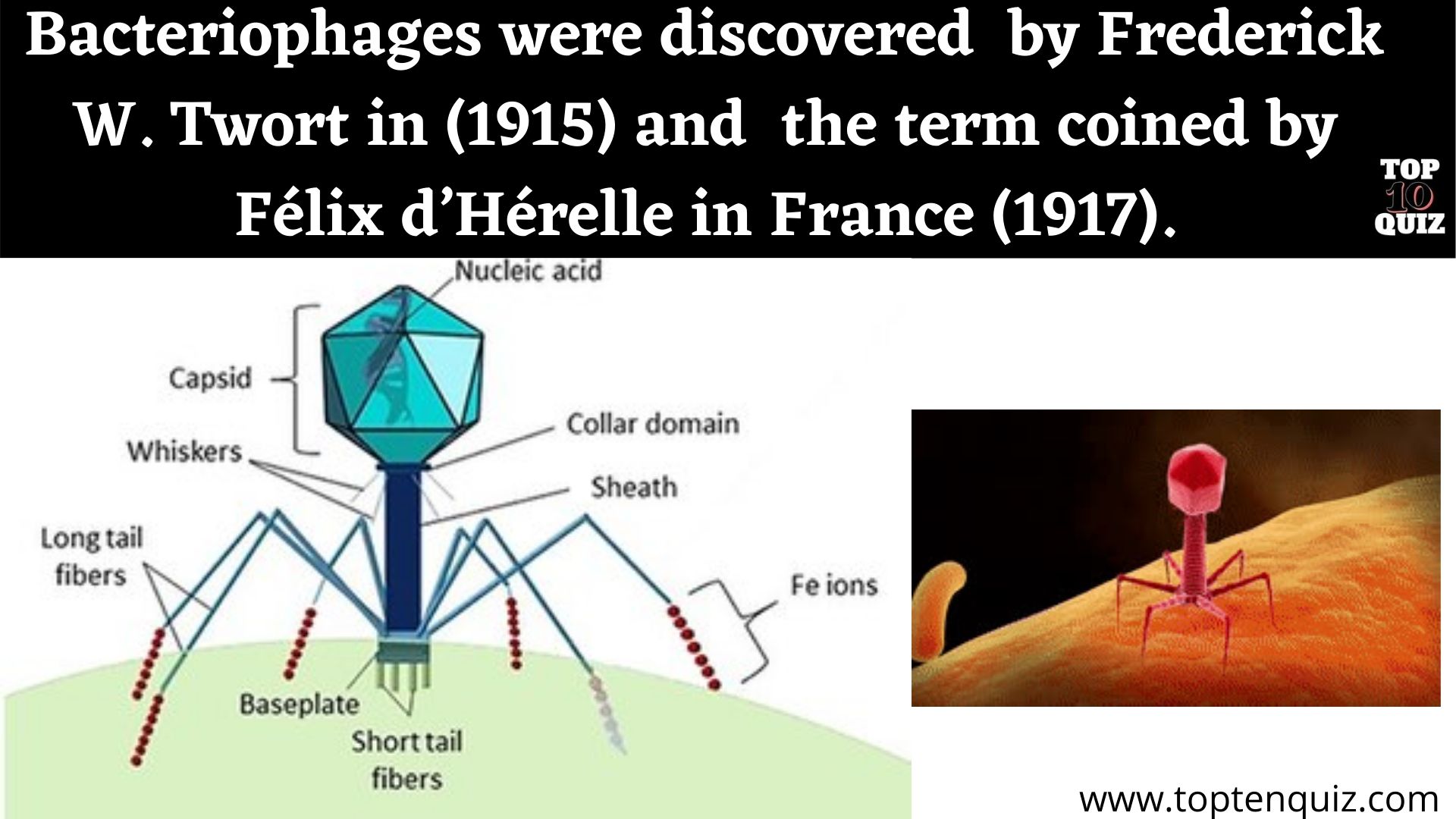 101 Biological Science Inventions and Discoveries (Part 1)