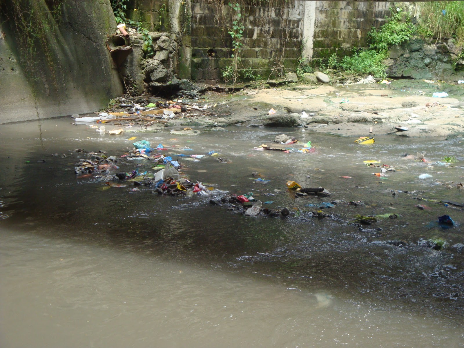 BARANGAY FORT BONIFACIO: MARICABAN CREEK...