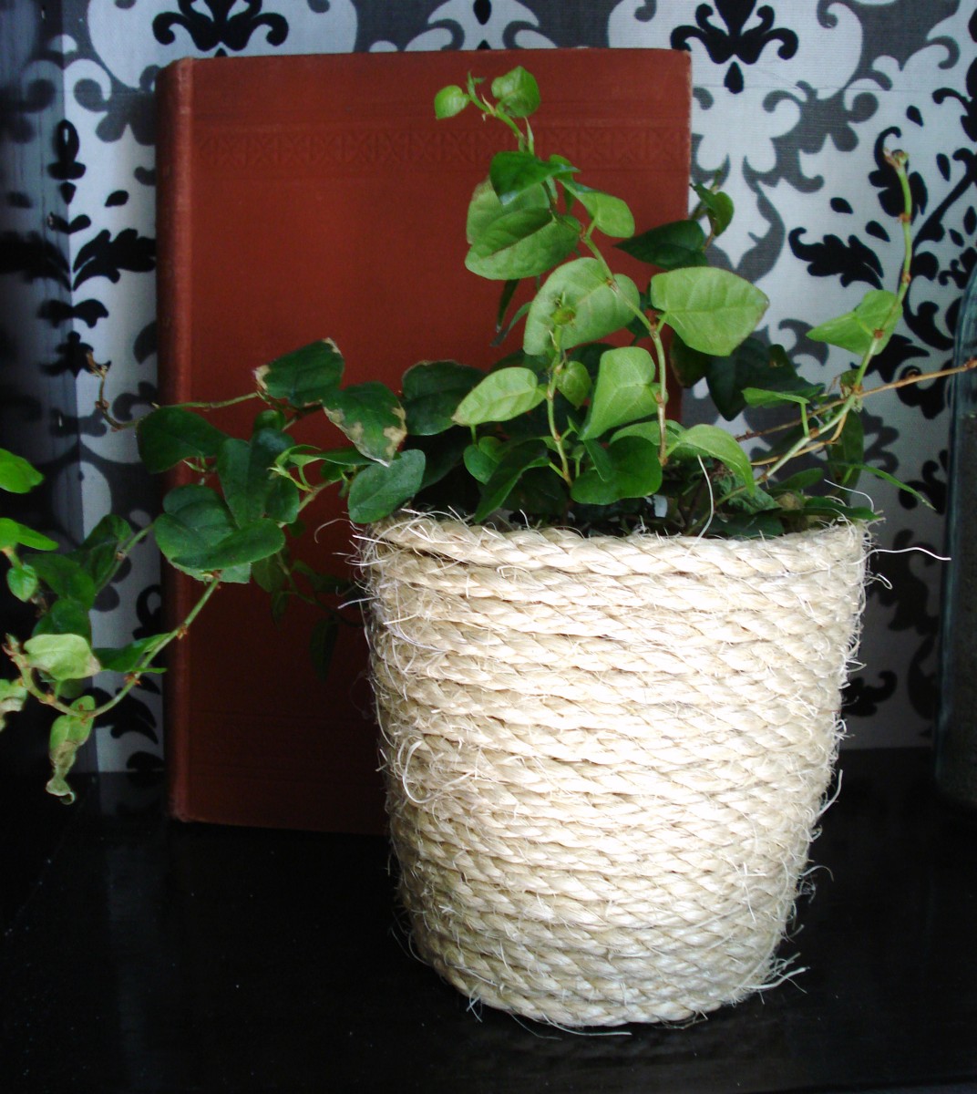 Heart Maine Home: Rope planter {DIY}