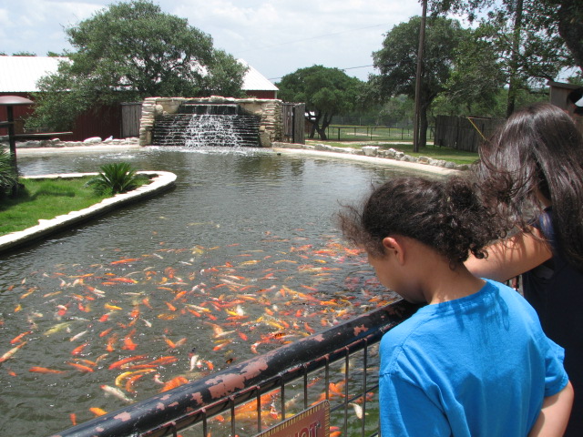 Travel the Path Less Trodden: Spotlight: San Antonio - Natural Bridge ...