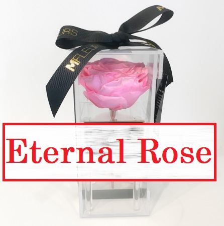 Eternal Rose | This Is Why Eternal Rose Is So Famous! | Galaxy Rose Store