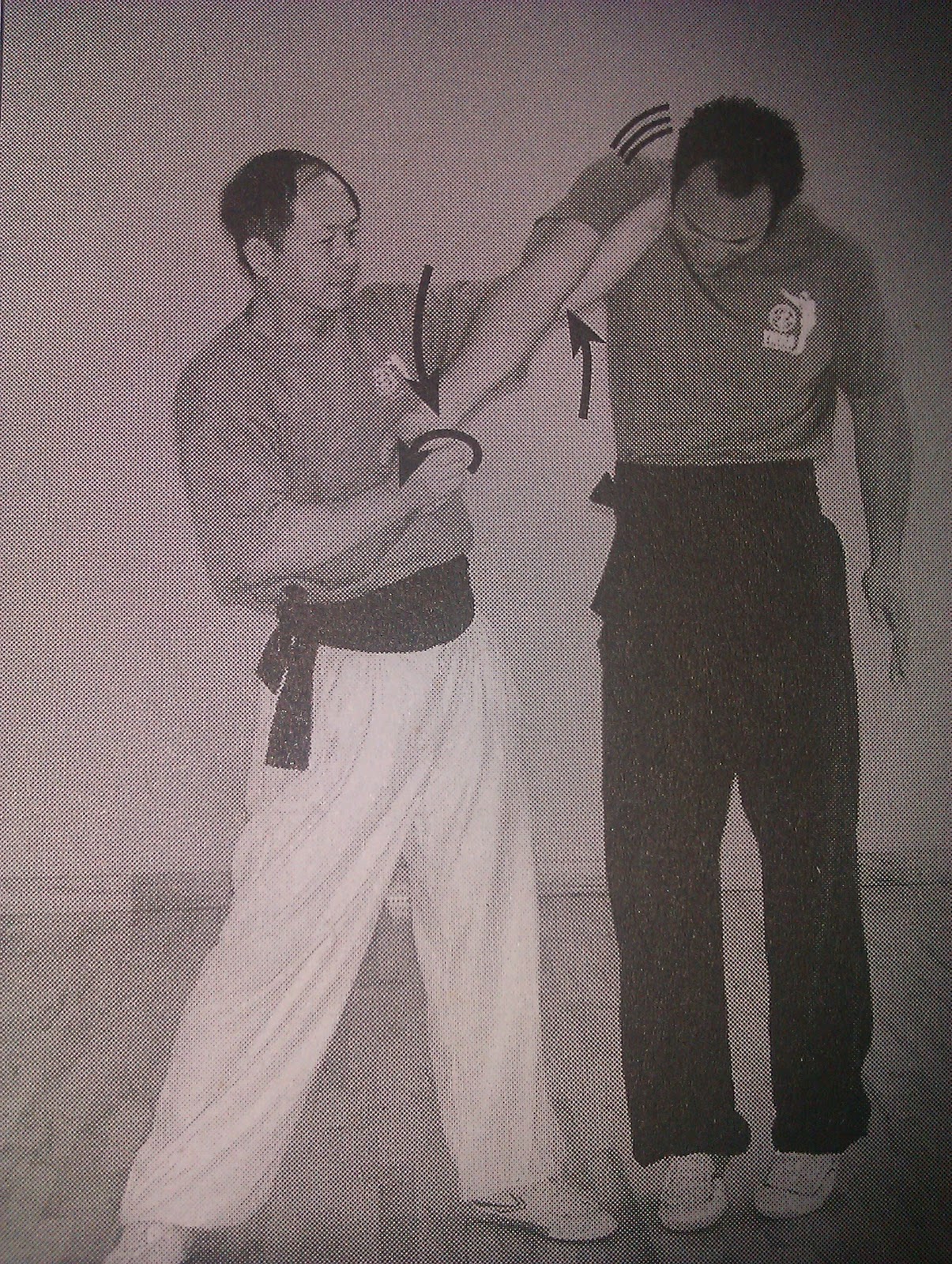 Traditional Taekwondo Ramblings: A combative study of the "forkshaped ...