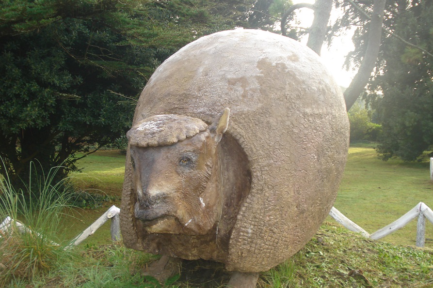 Museo de Ciencias Naturales de Miramar "Punta Hermengo".: Gliptodonte ...