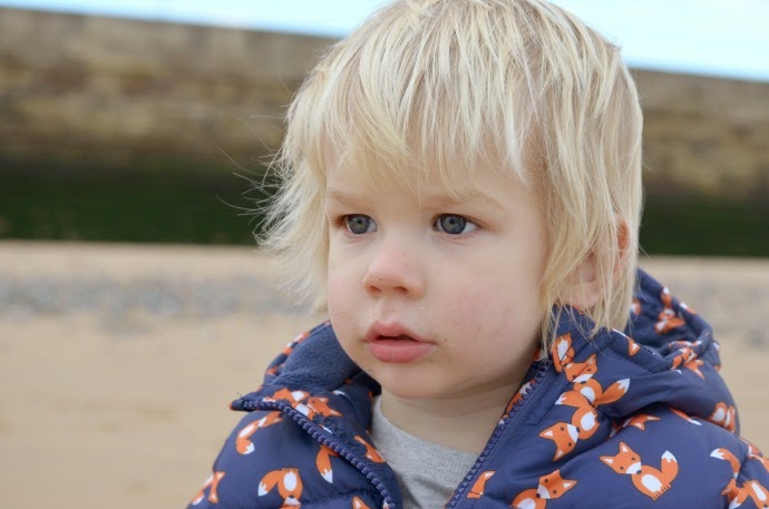 The Adventure of Parenthood: Archie at Nearly Two