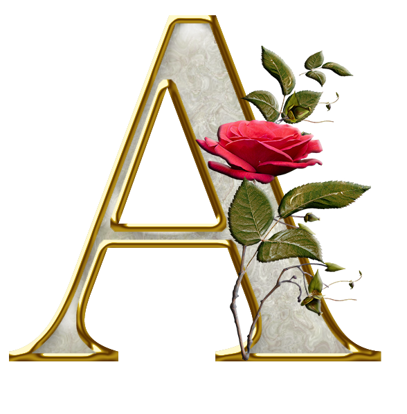 Sussurro De Amor Alfabeto Png Textura Marmorizado Ramalhete