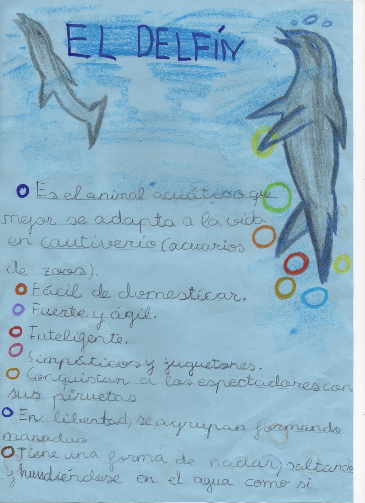 Primero C El Zargal: El delfín
