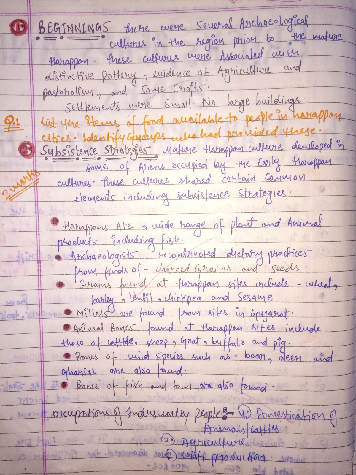 Handwritten notes of Brick, Beads and Bones- The Harappan Civilization ...