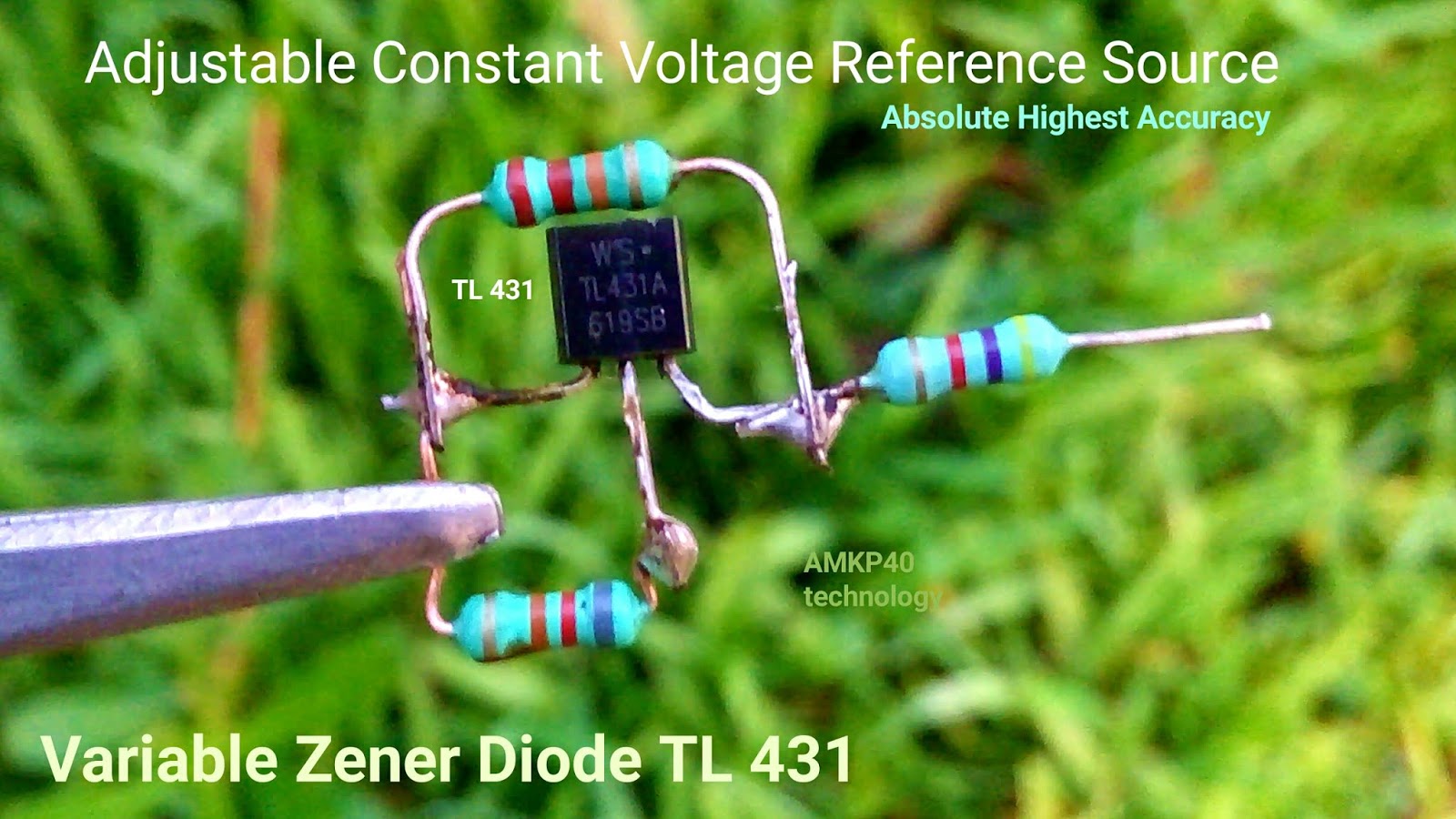 Adjustable zener diode TL 431A, or Constant Voltage Source.