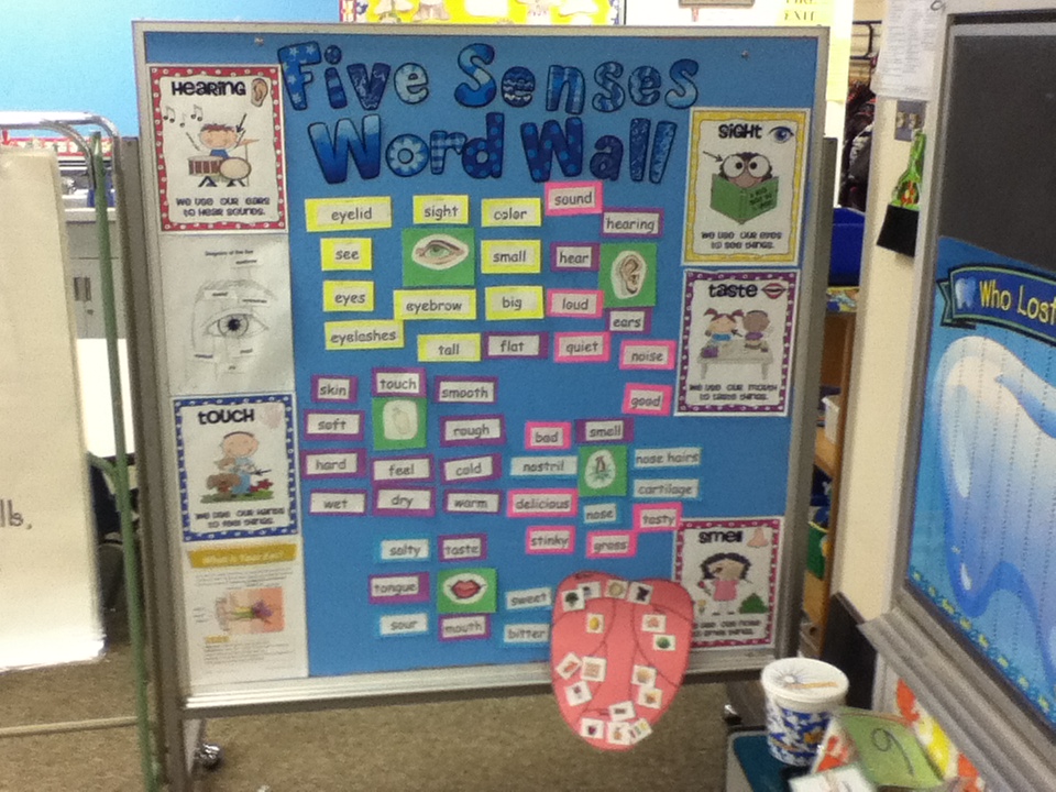 Miss Eichler's Teaching Portfolio : Word Wall for Five Senses Unit