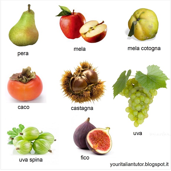 Italian Vocabulary Fruit La Frutta