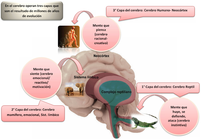 Desarrollo del Pensamiento y la Inteligencia Humana: 2017