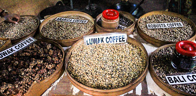 Jenis Kopi Populer di Indonesia