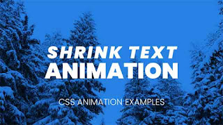 Shrink Text Animation using HTML & CSS | CSS Animation Examples
