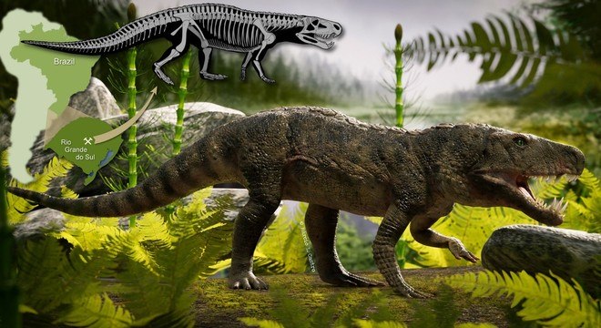 Reptossaurus: Fóssil de espécie rara de dinossauro é encontrado no sul ...