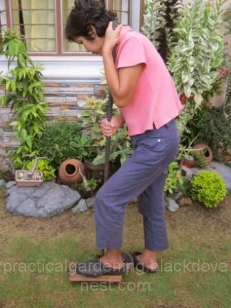 Practical Gardening: Homemade Lawn Aerator Using a Garden Rake