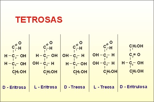 Rincon de la Biología: carbohidratos