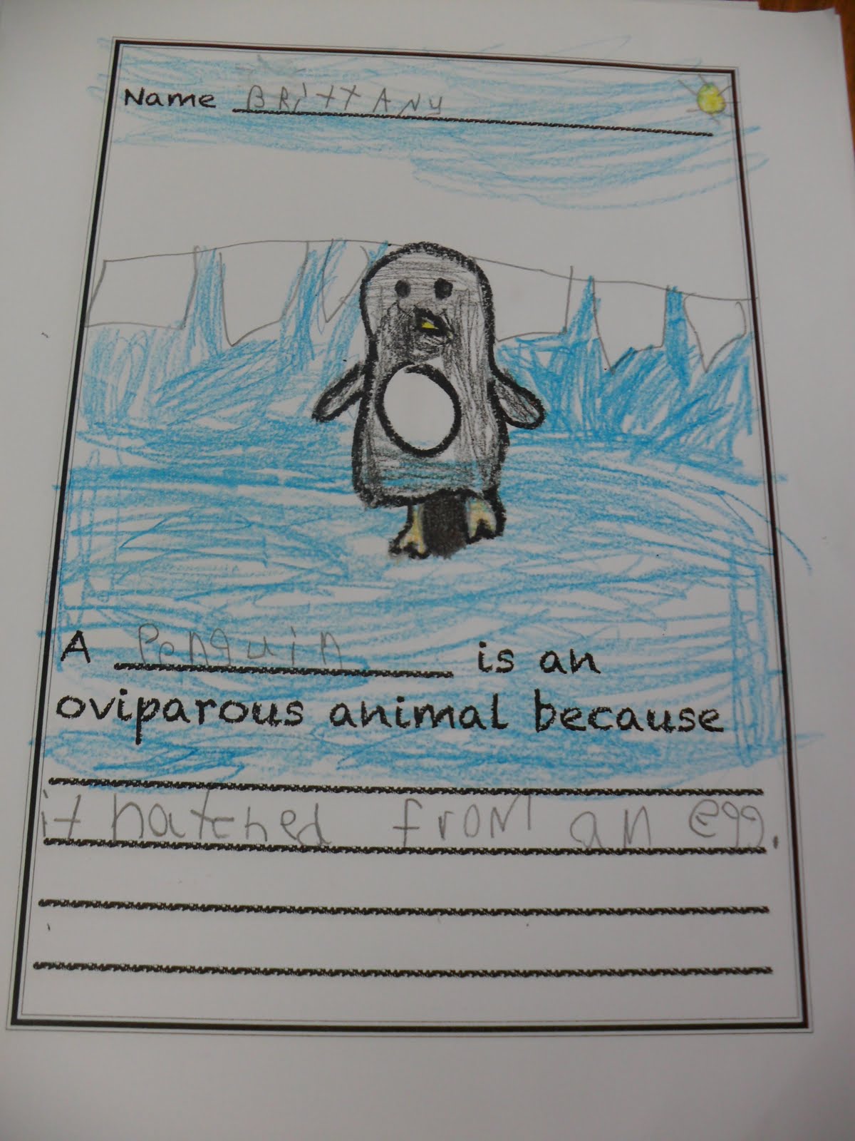 .: Oviparous Animal Week
