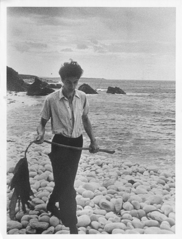 Footless Crow: Ecodefense......A field guide to Monkeywrenching