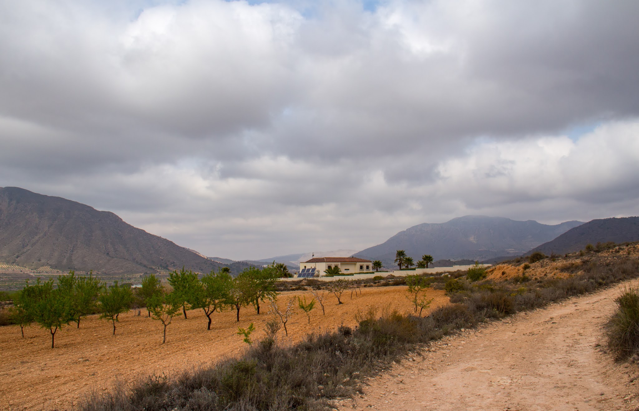 RUTA CIRCULAR AL CERRO DEL AGUDO DESDE BARBARROJA.