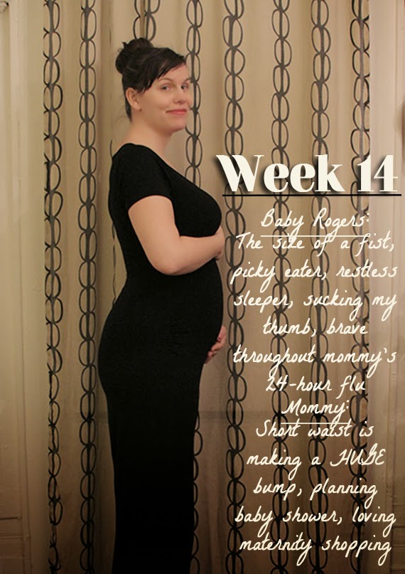 Harlem Home: Bump Update: 14 Weeks