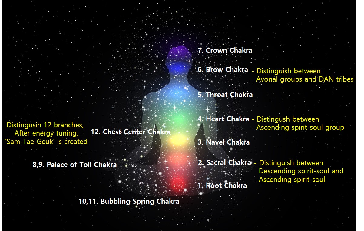 The Tree of Life in the Light: The symbols of lightworkers
