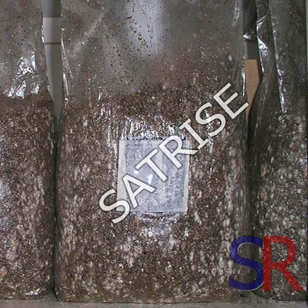 mushroom equipment,mushroom equipment,growing mushrooms indoors ...