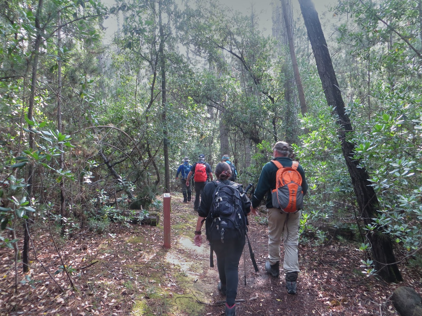 Wallaby Track Stage One 2020