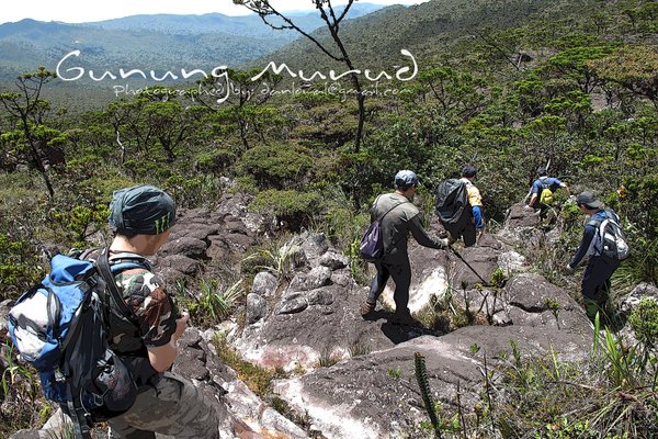 Dan's Den: Gunung Murud 2,423m