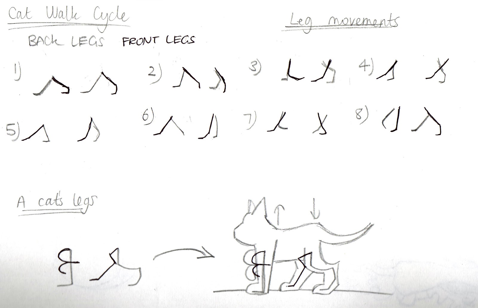 Cat Walk Cycle Reference
