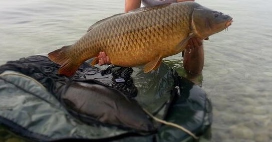 Amatör Balıkçılık