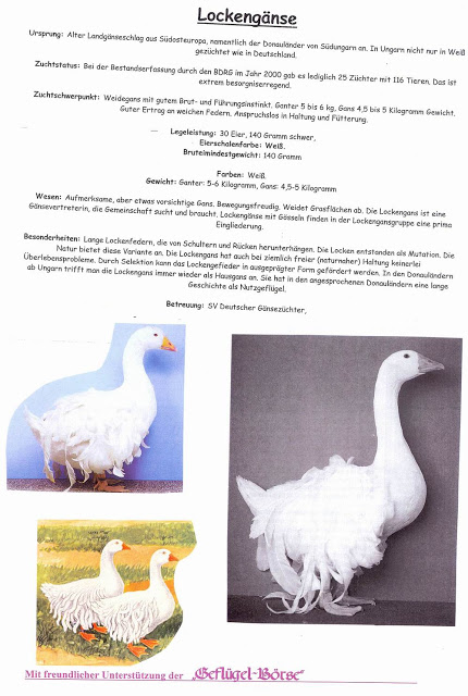 And I Think to Myself...What A Wonderful World.: Creature Feature ...