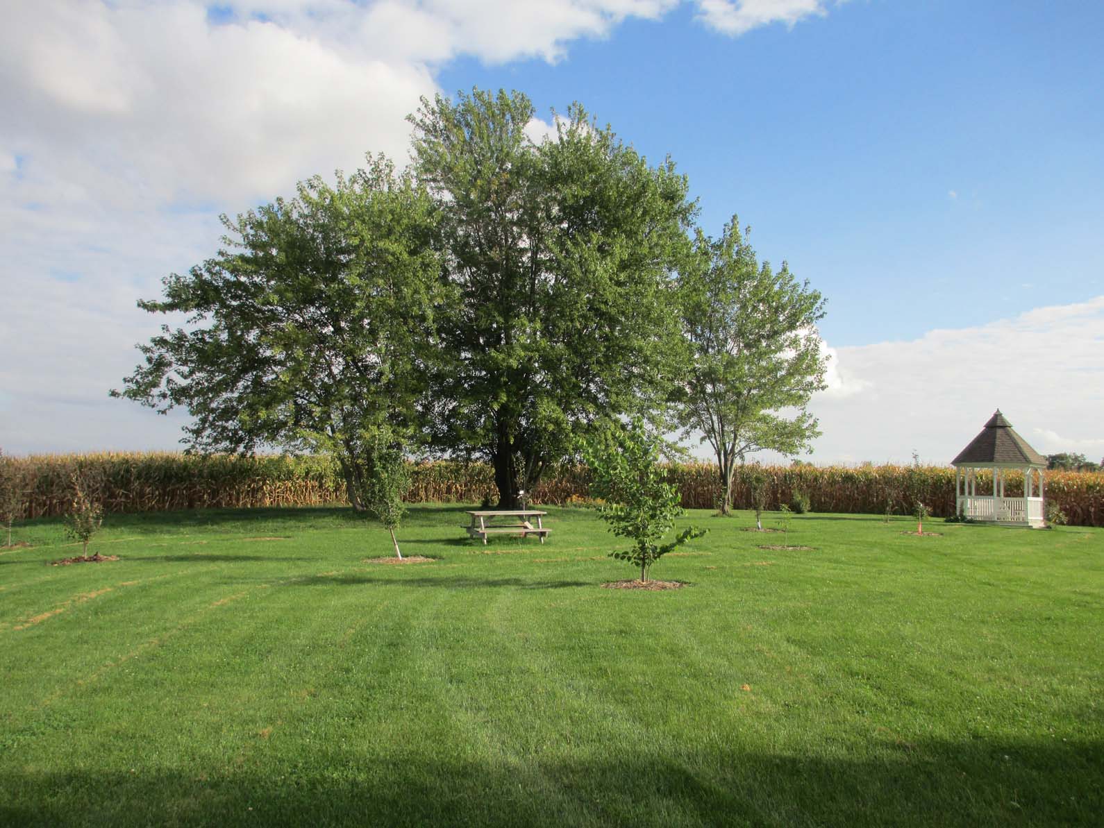 Garden Fancy: Garden Tour