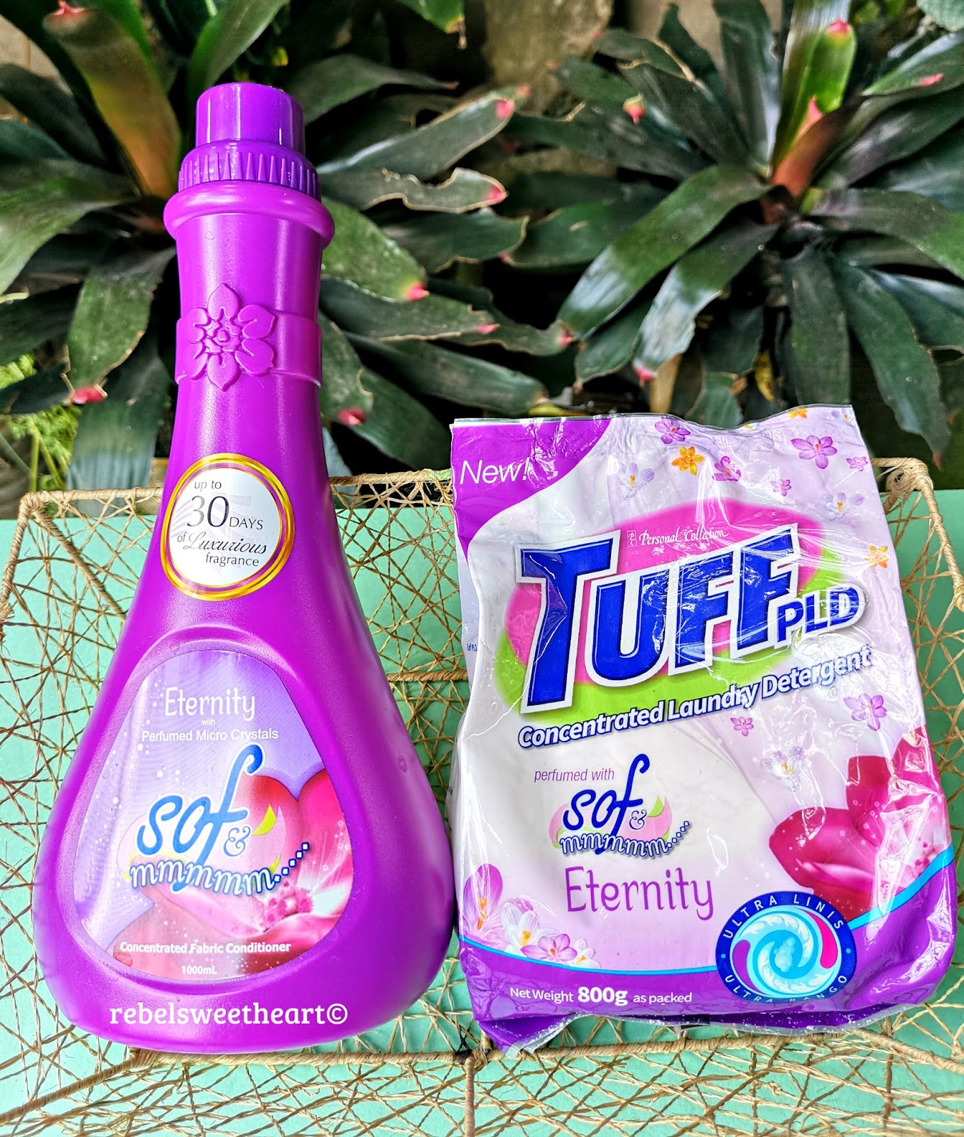 The Rebel Sweetheart.: For Homecare Products, #VotePC2019.