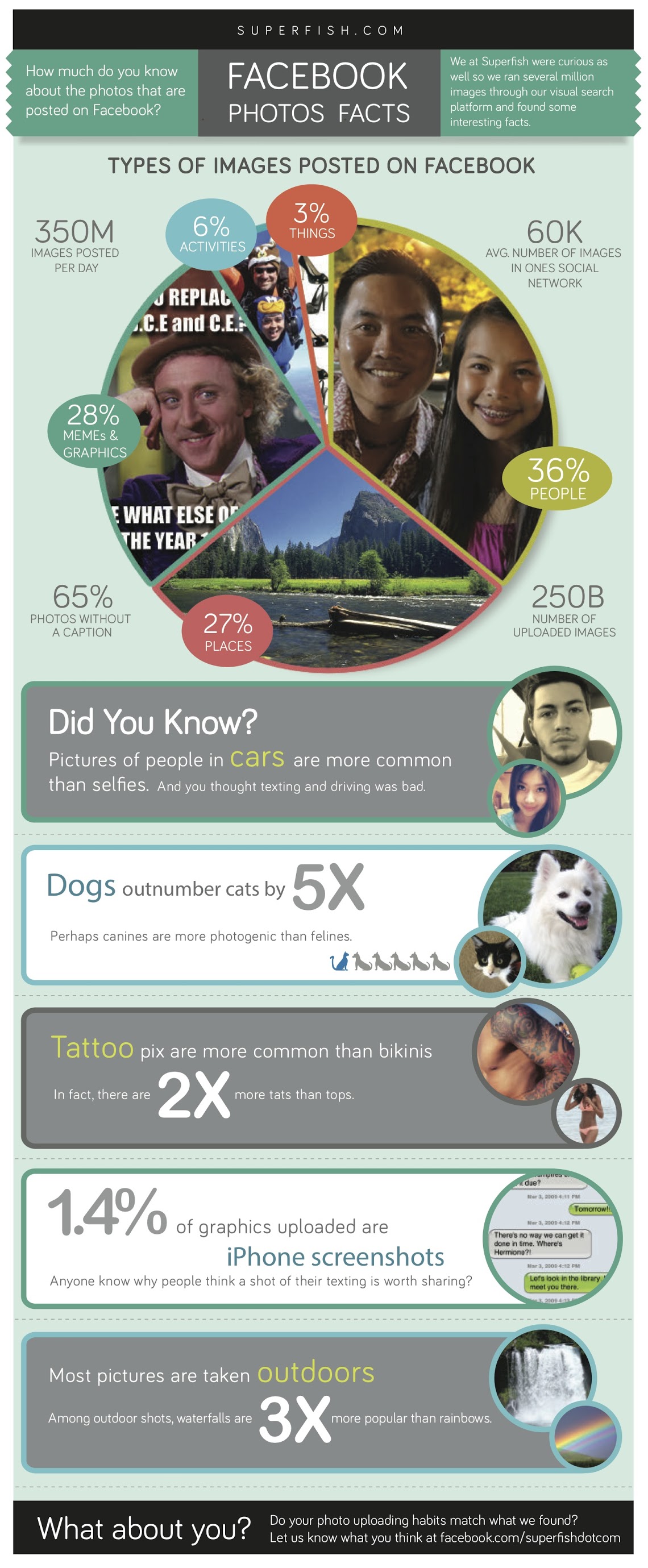 10+ Facebook Photo Facts [INFOGRAPHIC] / Digital Information World
