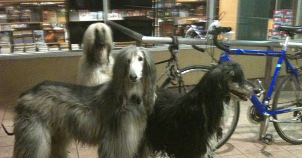 photos: I bought their first album in 1975.