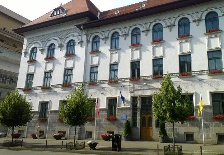 Institutii | my TIMISOARA