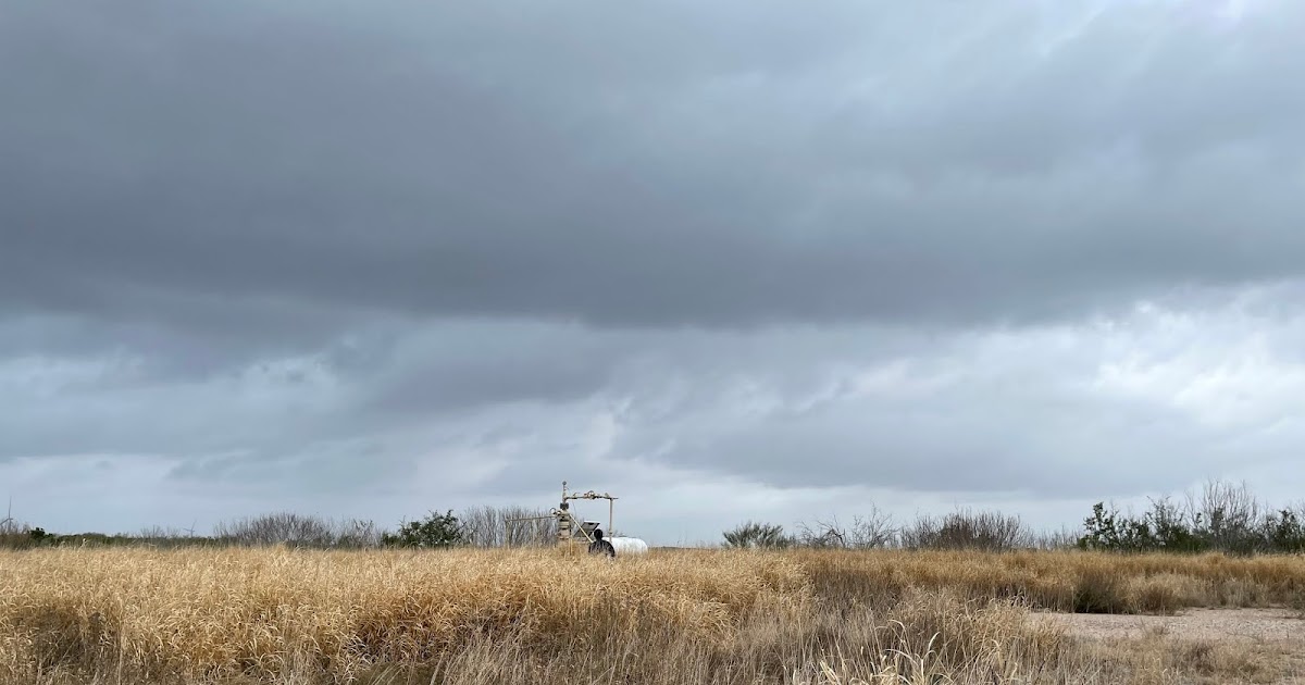 Kay Rieck Helena Energy