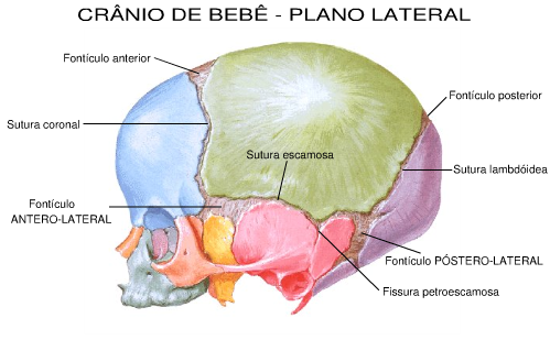 Neuropediatria em foco: 06/05/2017
