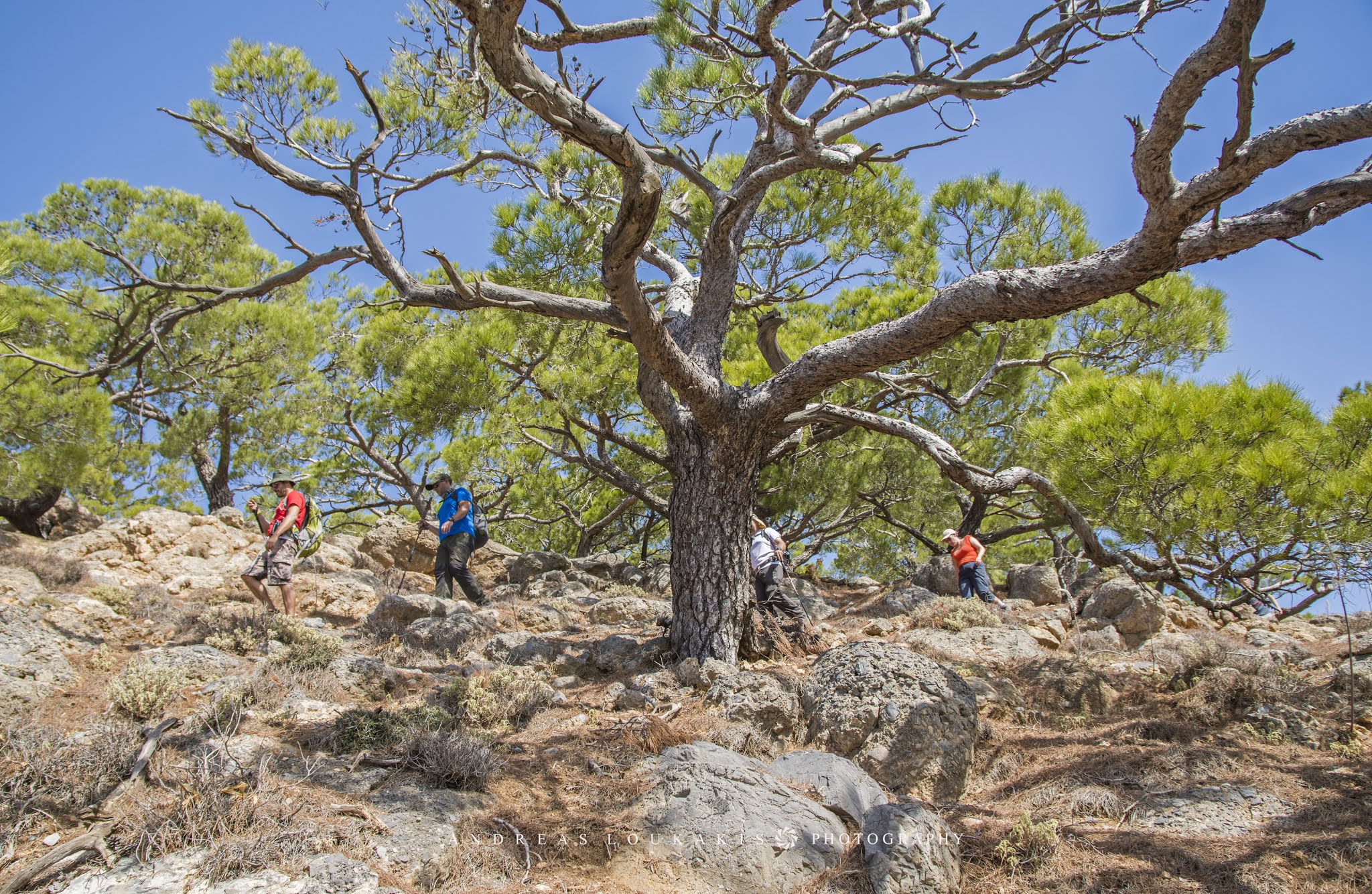 EXPLORE MOUNTAINS: ΑΣΤΕΡΟΥΣΙΑ ΟΡΗ (Καπετανιανά-Ι.Μ.Κουδουμά-Άγιος Ιωάννης)