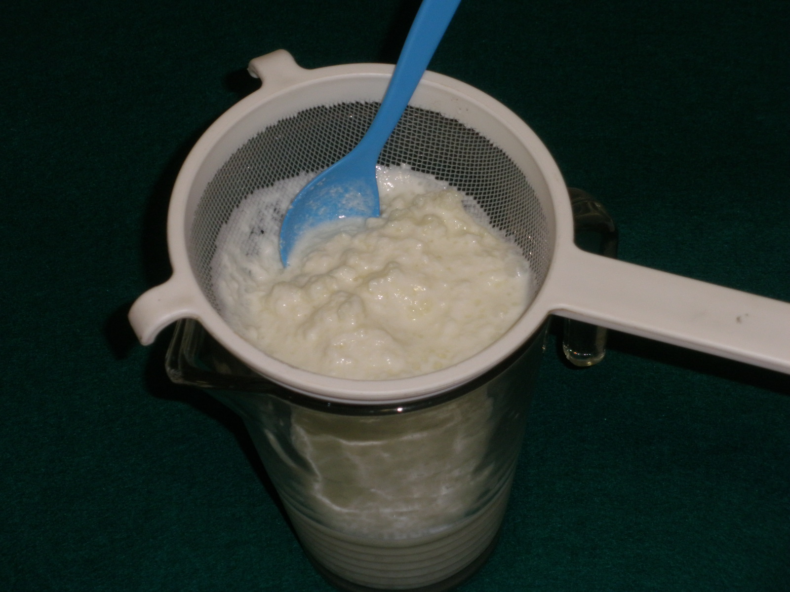 Zgz_lugares. Blog de Zaragoza: El kéfir, ese saludable y gran desconocido