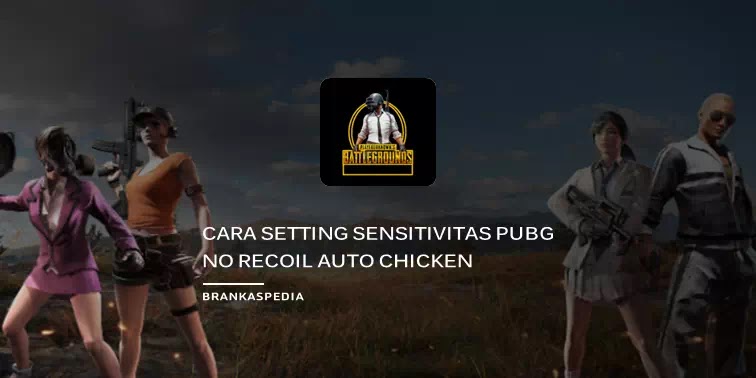 Cara Setting Sensitivitas PUBG No Recoil Auto Chicken - Brankaspedia - Blog tutorial dan tips