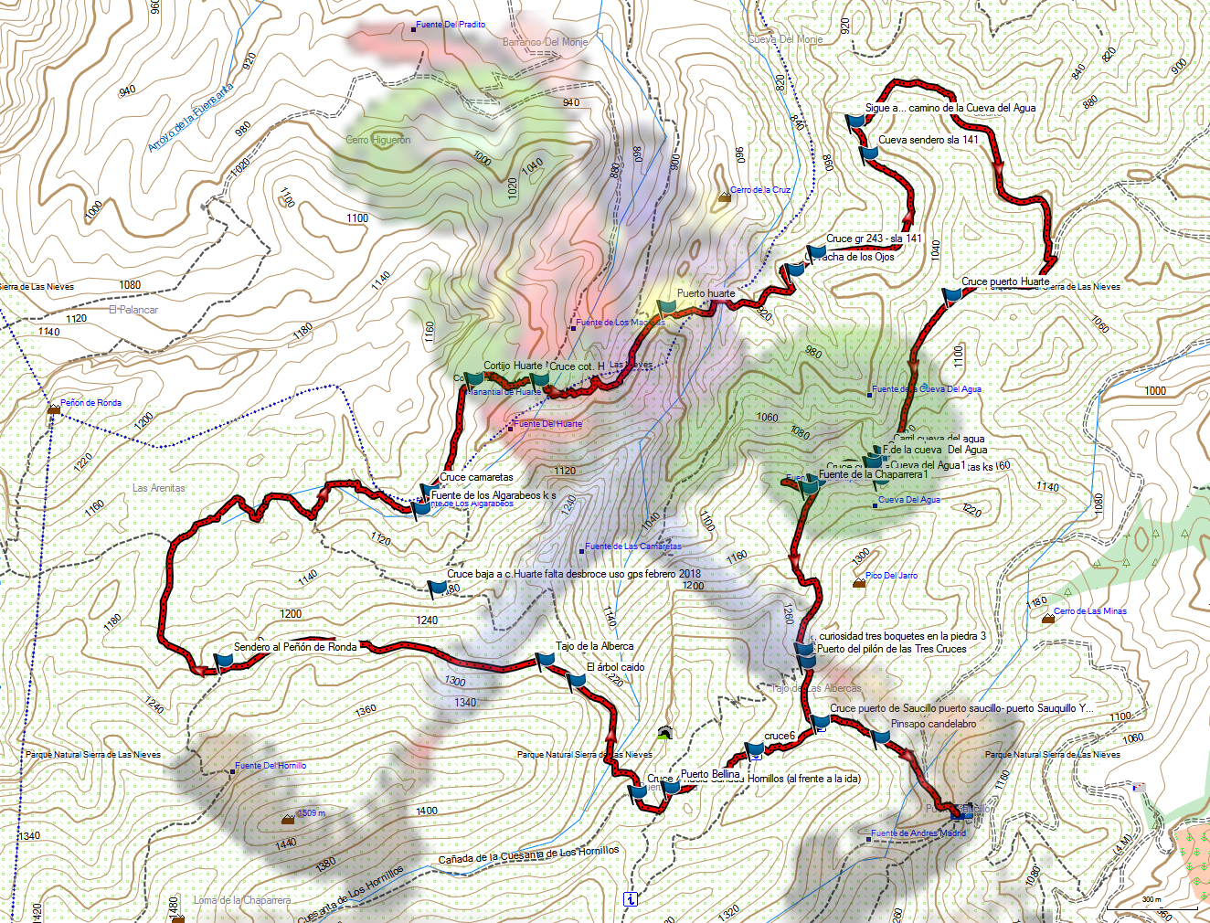 Club El Camaleón : PINSAPAR DE YUNQUERA ( PUERTO SAUCILLO)